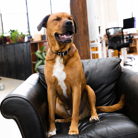 Careers – Portland Leather